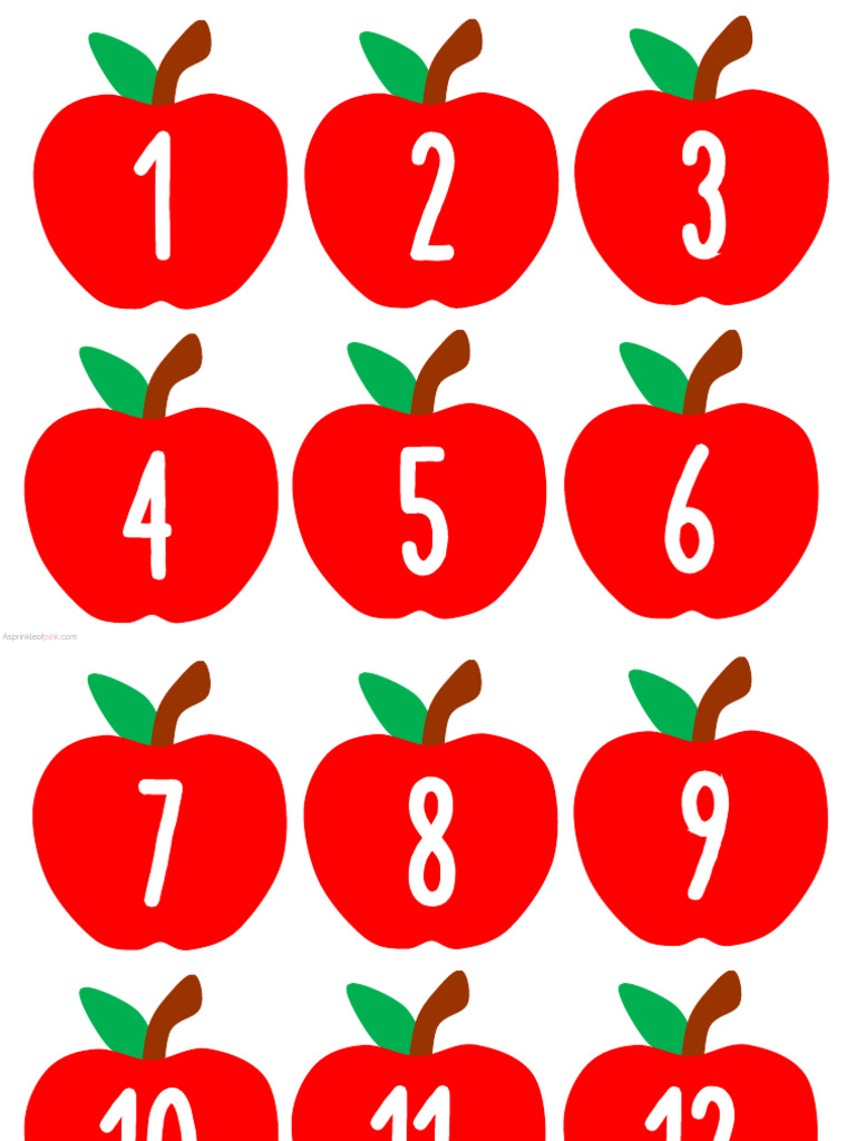 Apple Counting | PDF