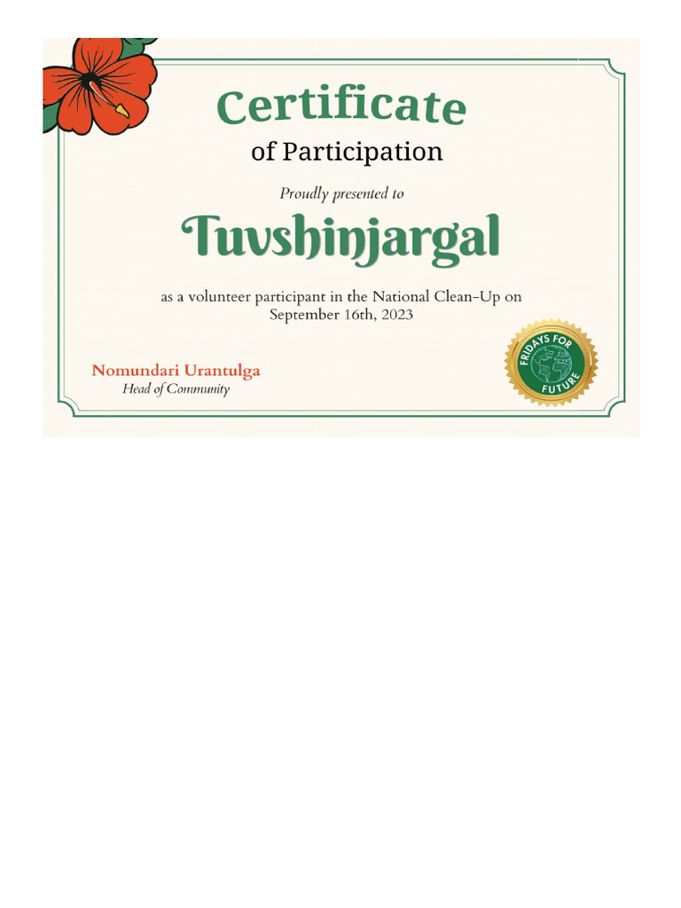 National Clean Up Certificate | PDF