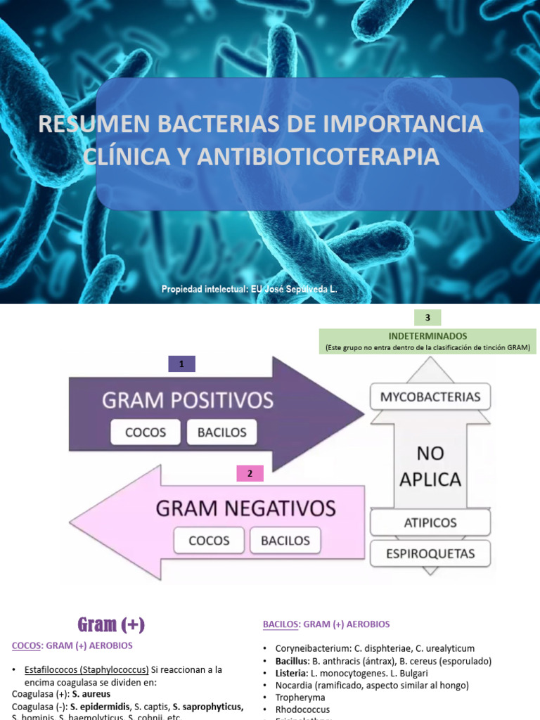 Resumen Bacterias-Atb | PDF