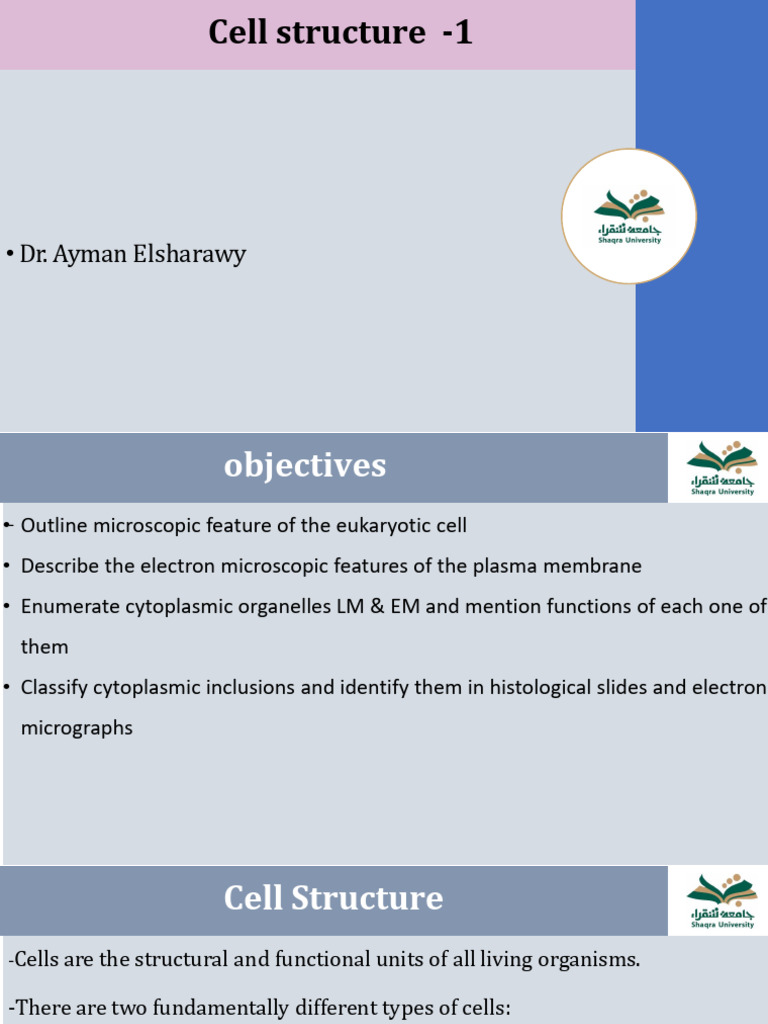 Cell Strucure1 | PDF