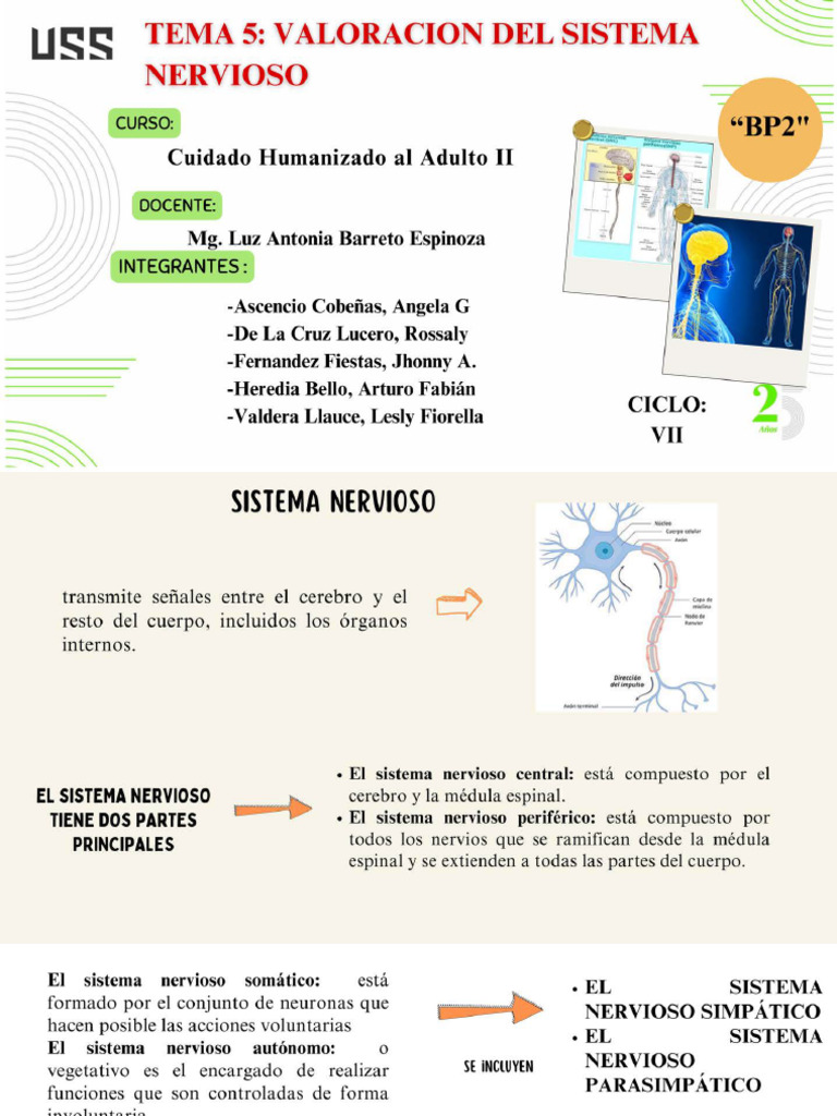 TEMA 5 VALORACION DEL SISTEMA NERVIOSO-comprimido-comprimido | PDF