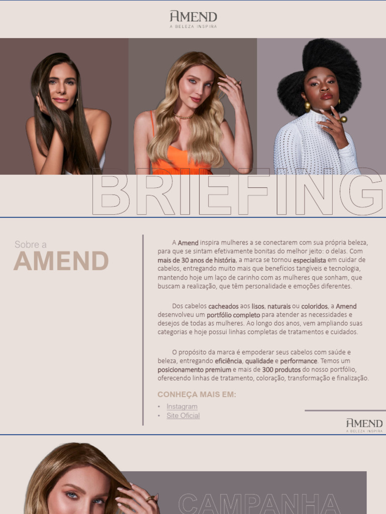 Briefing Afiliadas X Amend | PDF