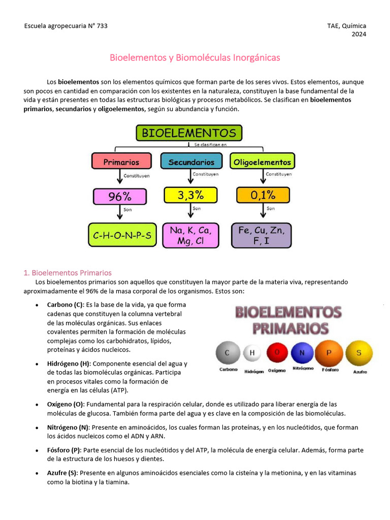 Bioelementos y Biomoléculas Inorgánicas | PDF