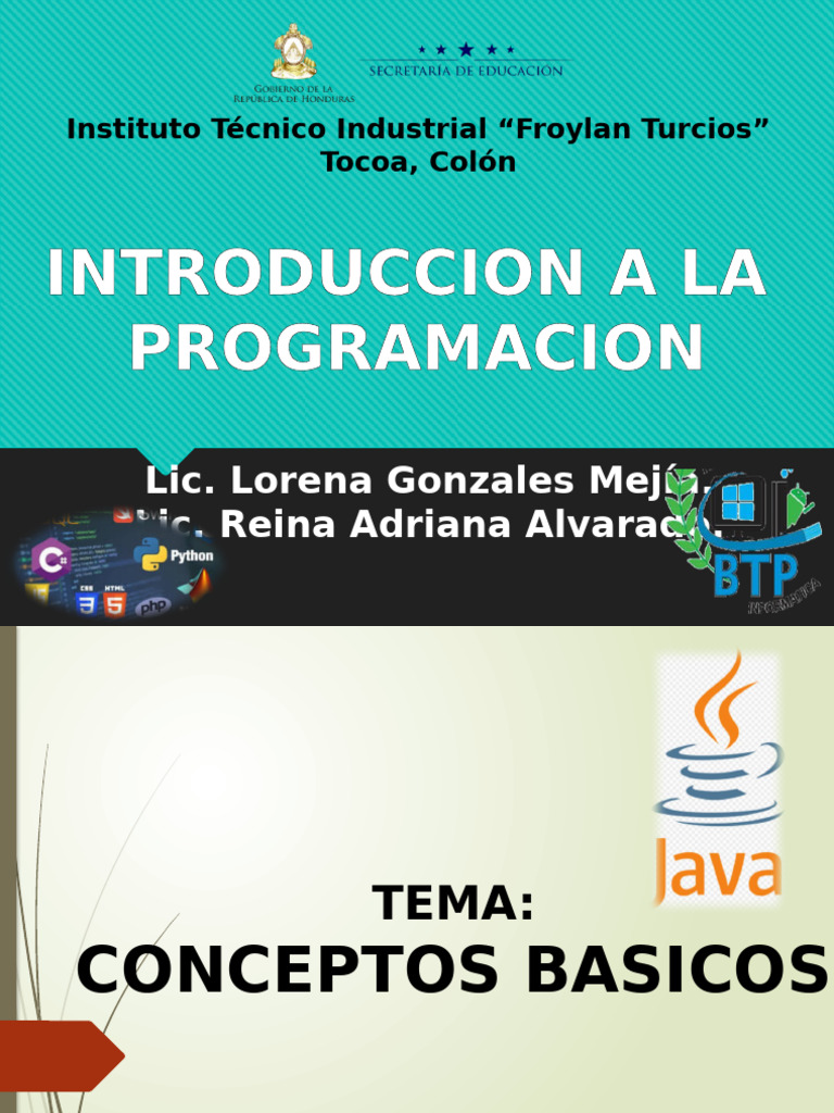 Introduccion A La Programacion | PDF