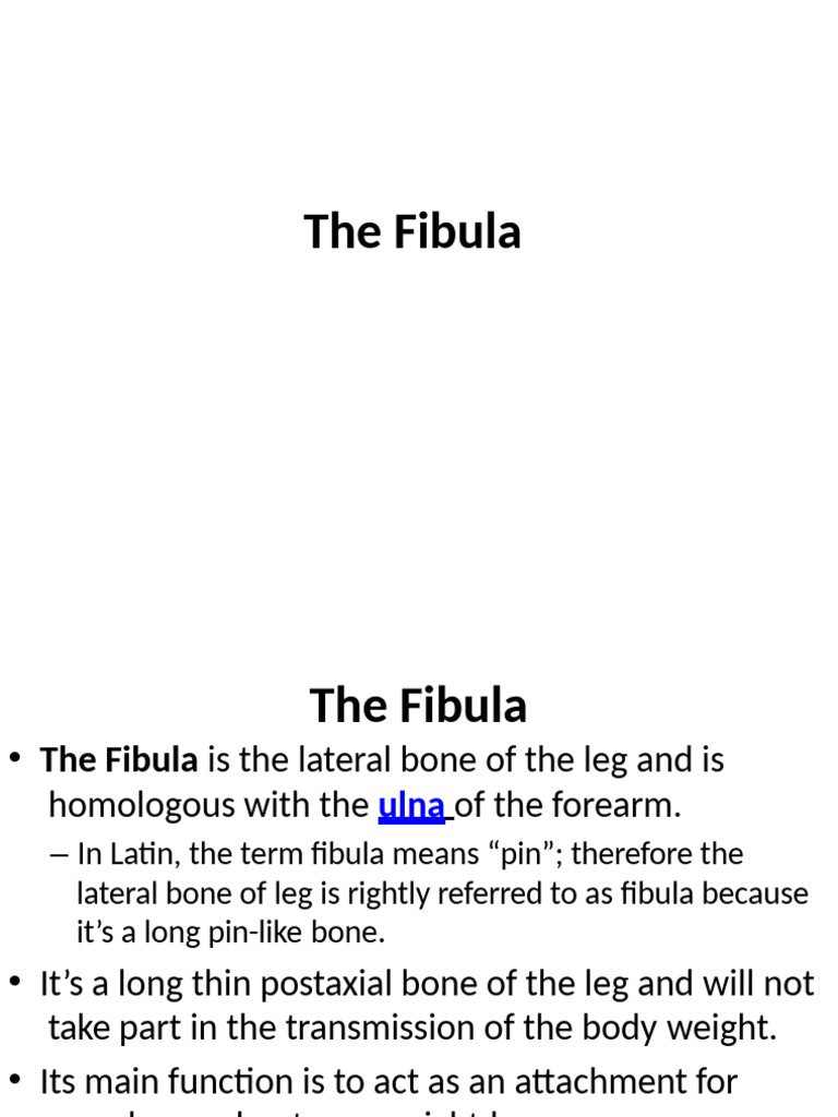 Fibula | PDF