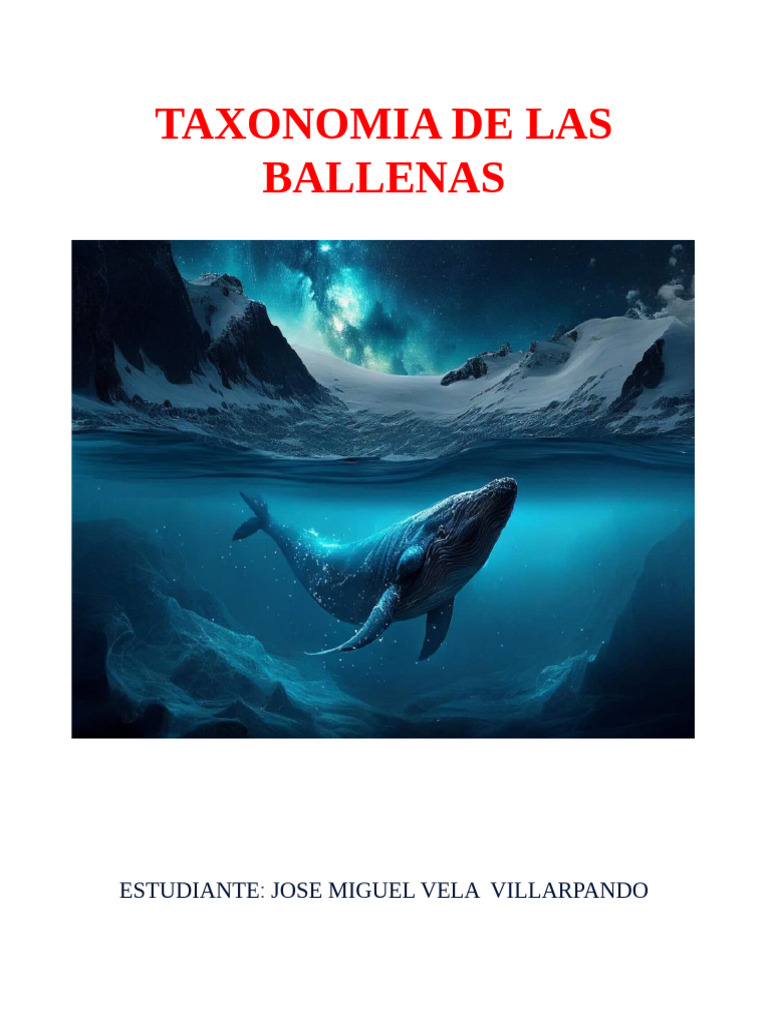 TAXONOMIA DE LAS BALLENAS VELA | PDF