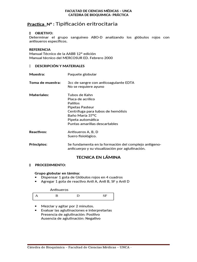 Practica Tipificacion | PDF