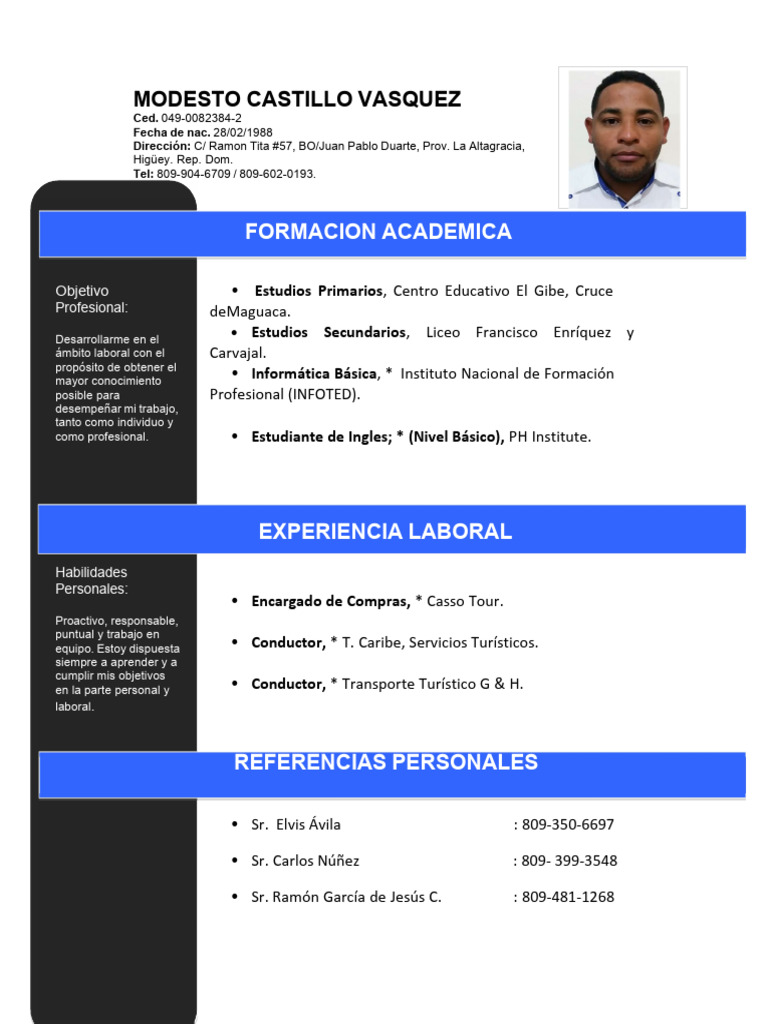 CV SR MODESTO CASTILLO Actualizado | PDF