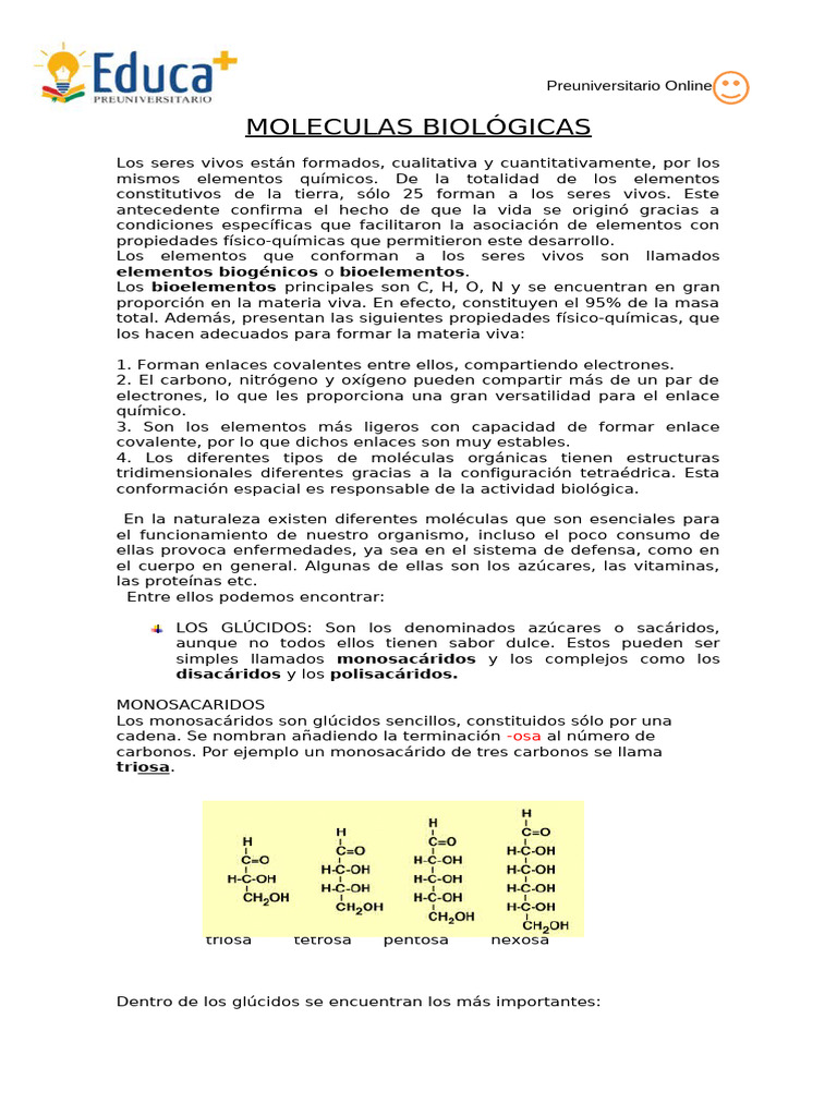 Moleculas Biológicas | PDF