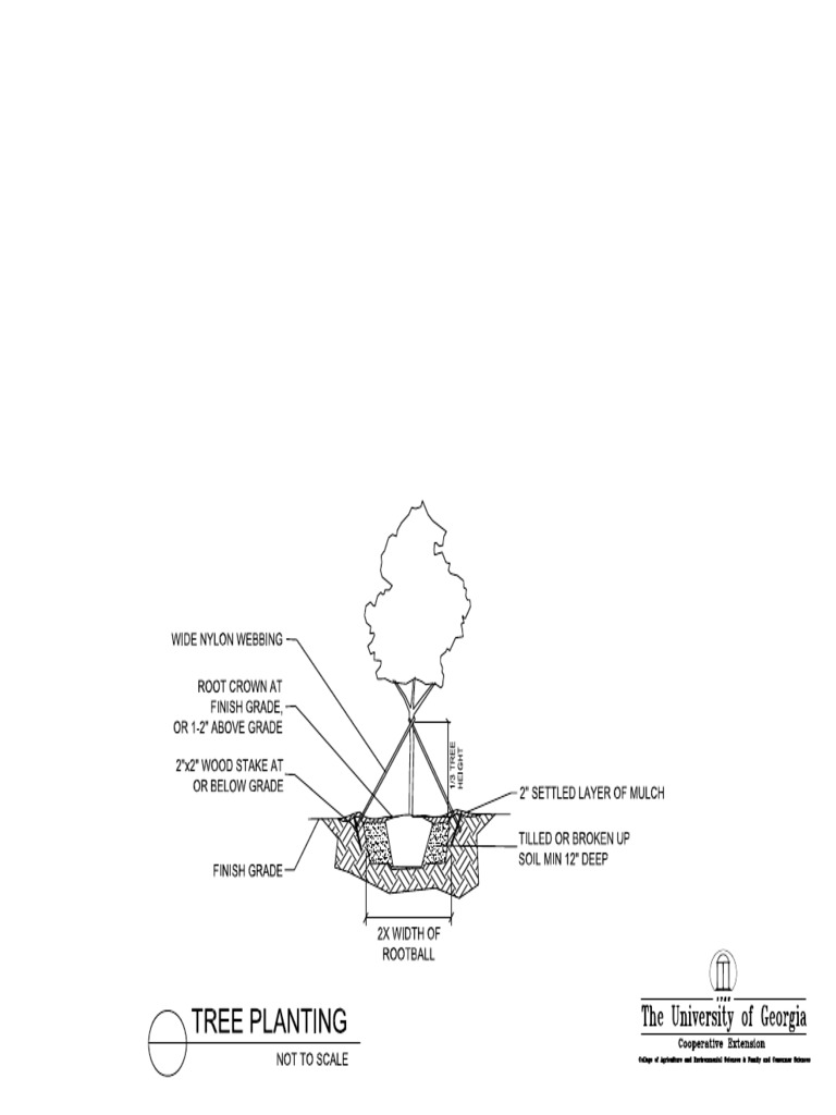 Typical Tree Planting | PDF