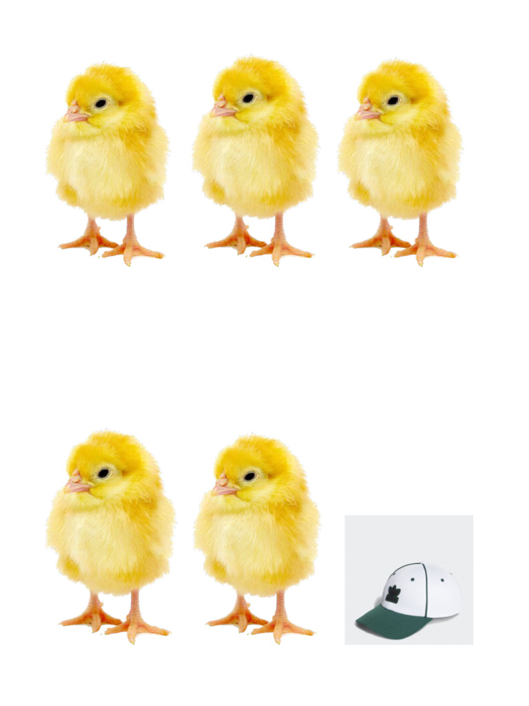 Cuento los 5 pollitos | PDF