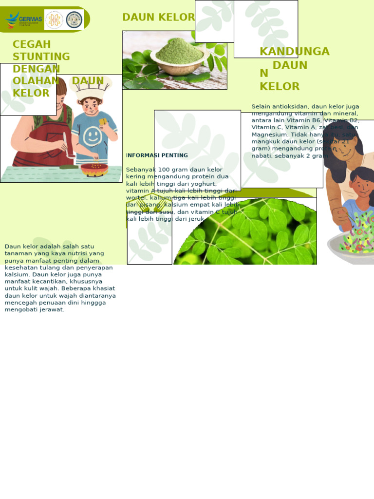Leaflet Daun Kelor | PDF