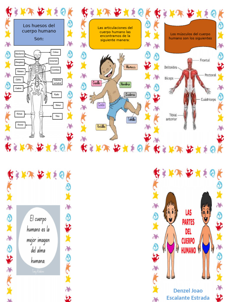 Triptico Denzel | PDF