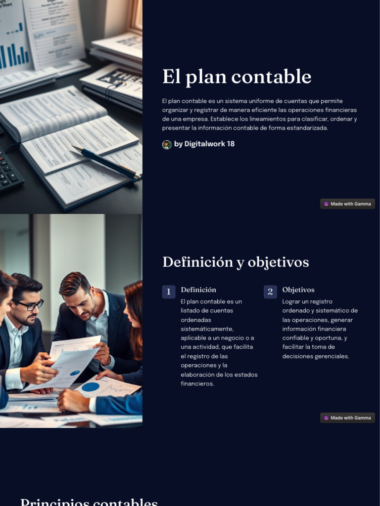 El Plan Contable | PDF
