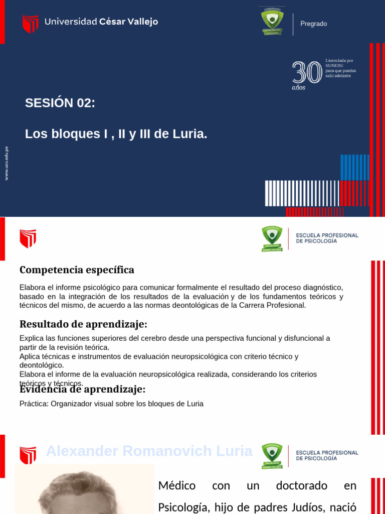 Sesión 2 - Los Bloques de Luria 2024 | PDF | Corteza cerebral | Lóbulo temporal