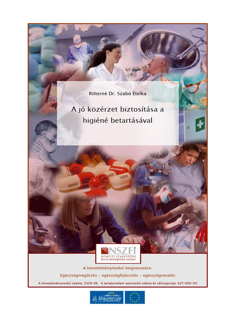 Ritterné Dr. Szabó Etelka - A Jó Közérzet Biztosítása A Higiéné Betartásával NSZFI | PDF
