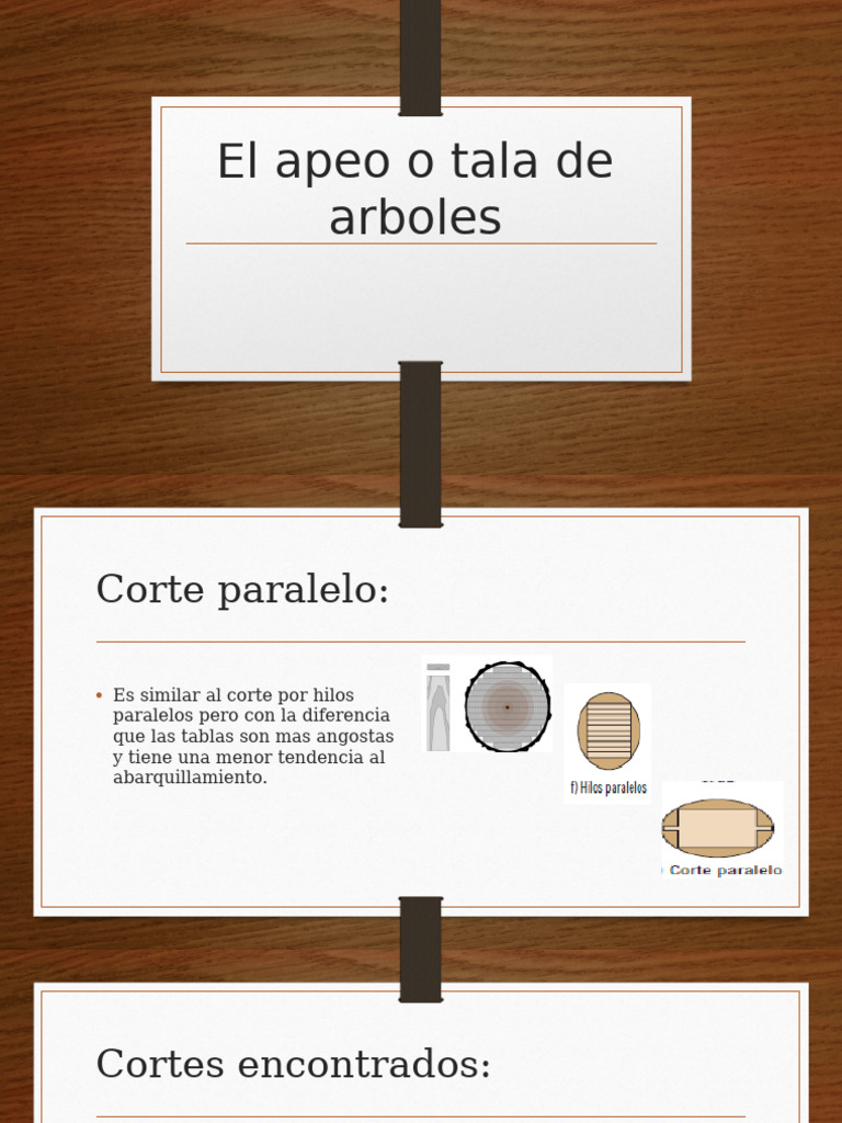 El Apeo o Tala de Arboles | PDF