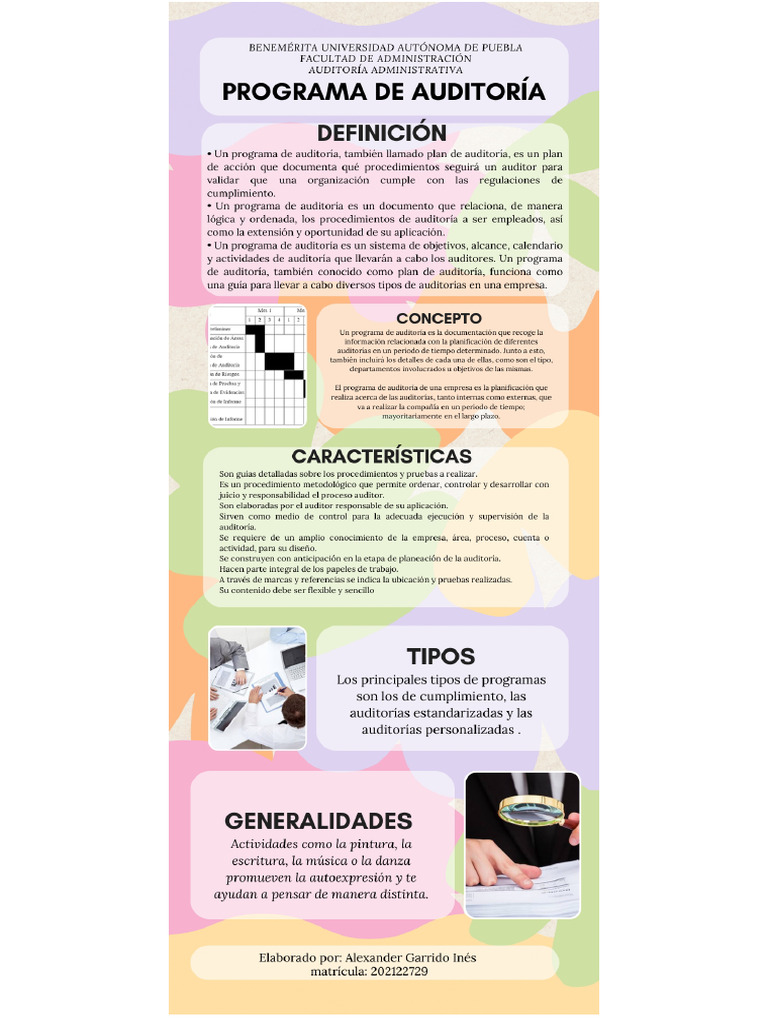 Infografías Programa y Plan de Auditoría | PDF