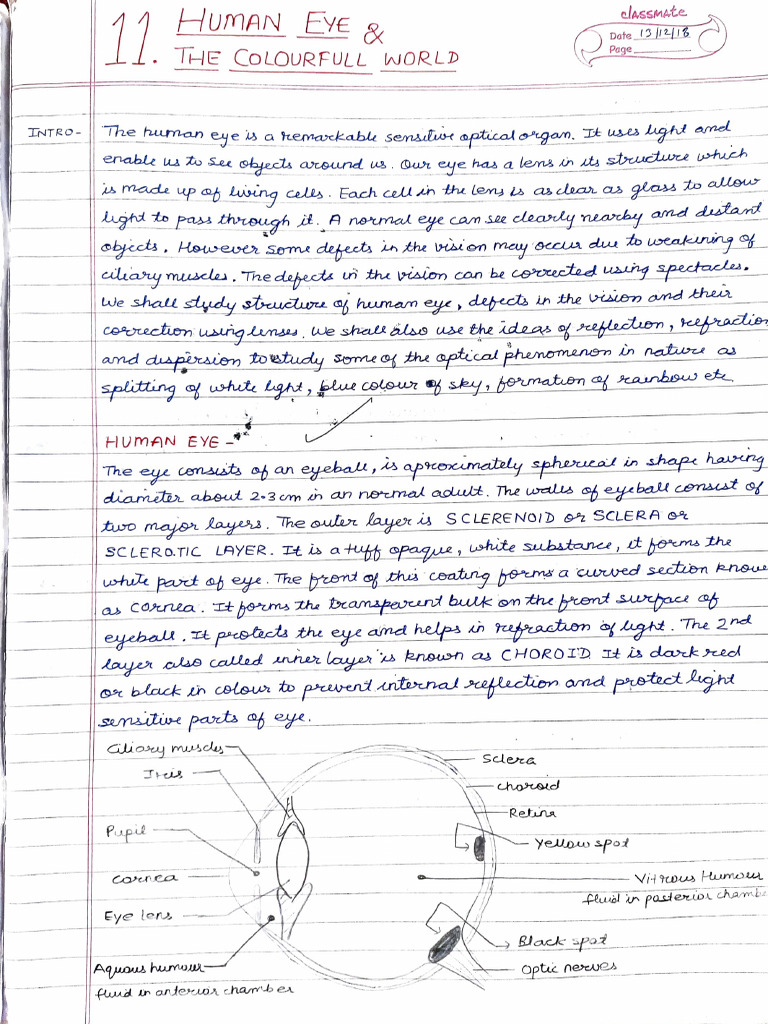 Notes Human Eye Class X | PDF