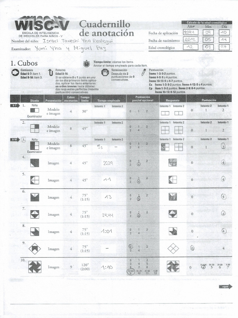 Cuadernillo de Anotación-Wisc - V | PDF