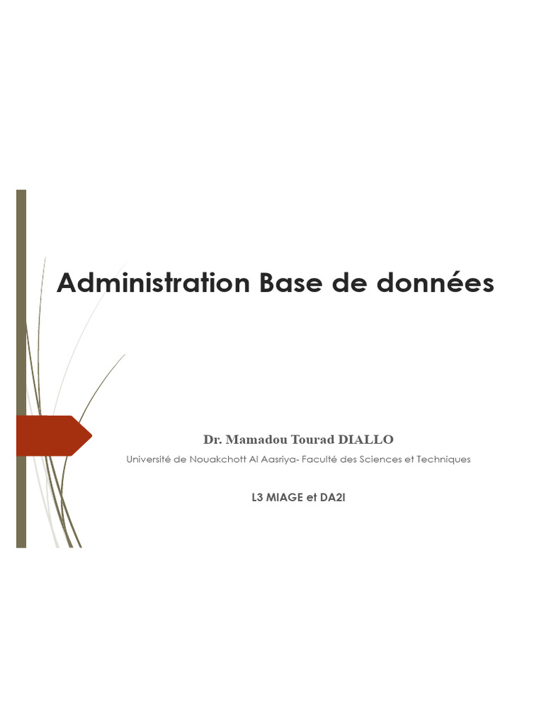 Base de Donnees | PDF