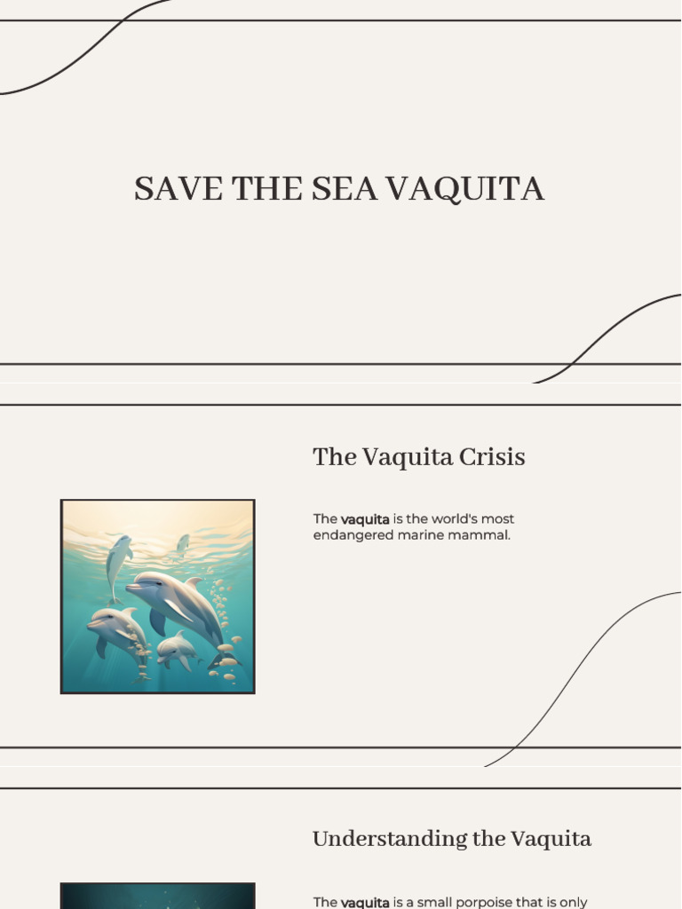 Slidesgo Saving The Sea Vaquita Understanding Challenges and Solutions ...