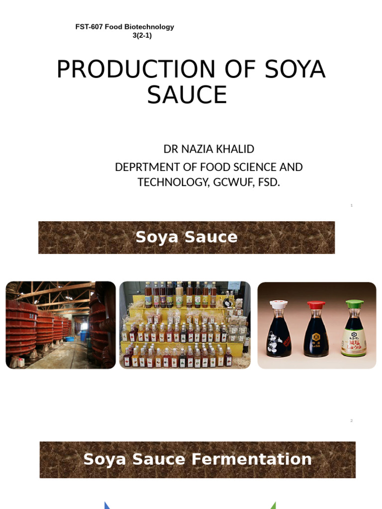 Production of Soysauce | PDF