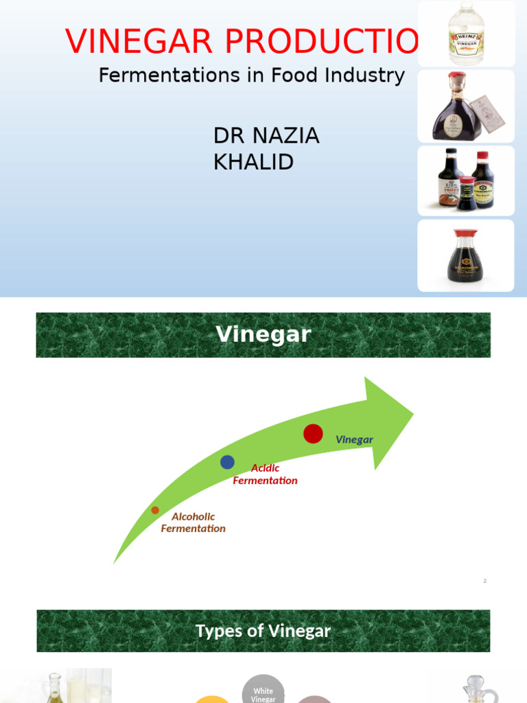 Production of Vinegar | PDF