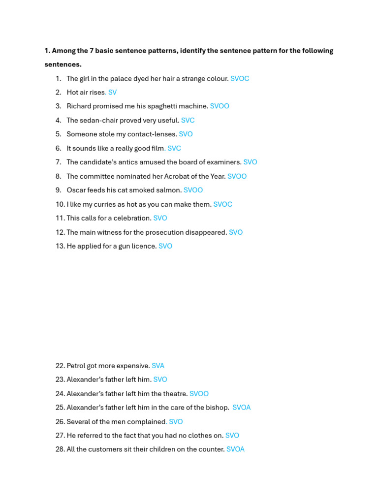Homework - Sentence Patterns | PDF
