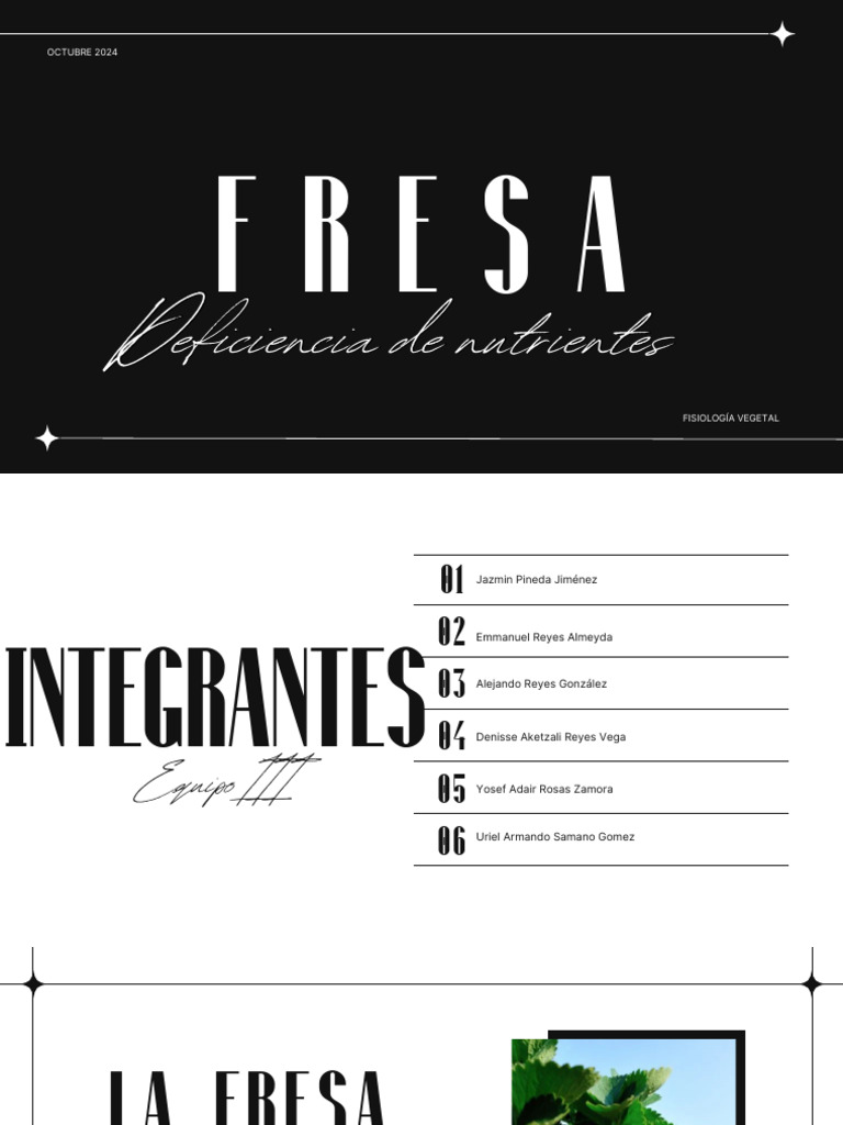 Fresa | PDF