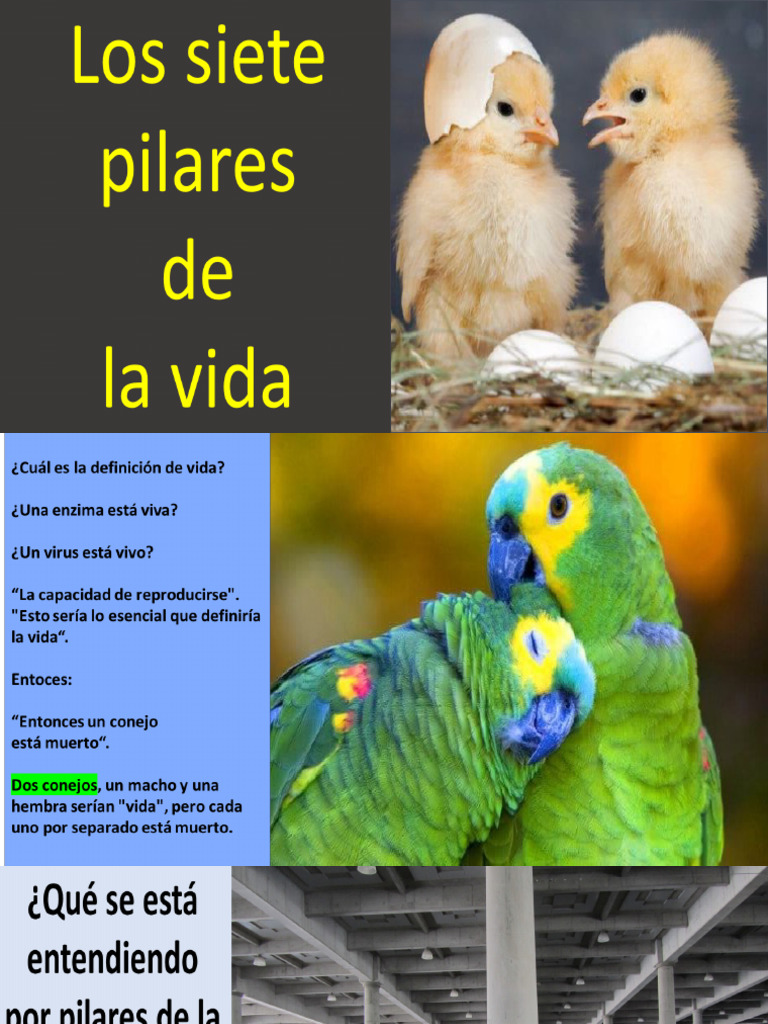 Los Siete Pilares de La Vida | PDF