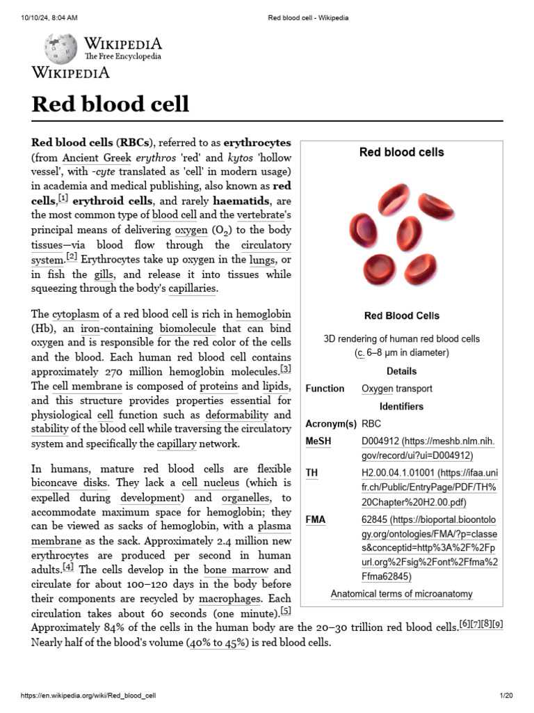 Red Blood Cell | PDF