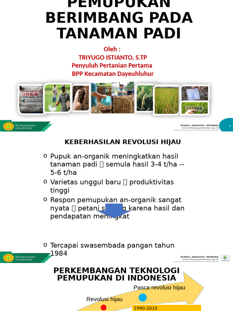 Pemupukan Berimbang Padi | PDF