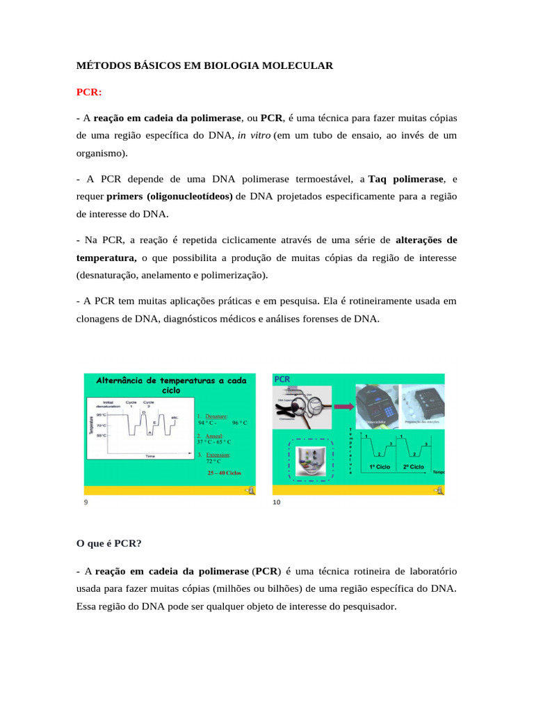 Métodos Básicos em Biologia Molecular | PDF