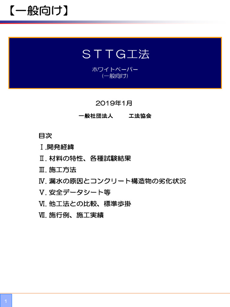 STTG White Paper Introduction | PDF