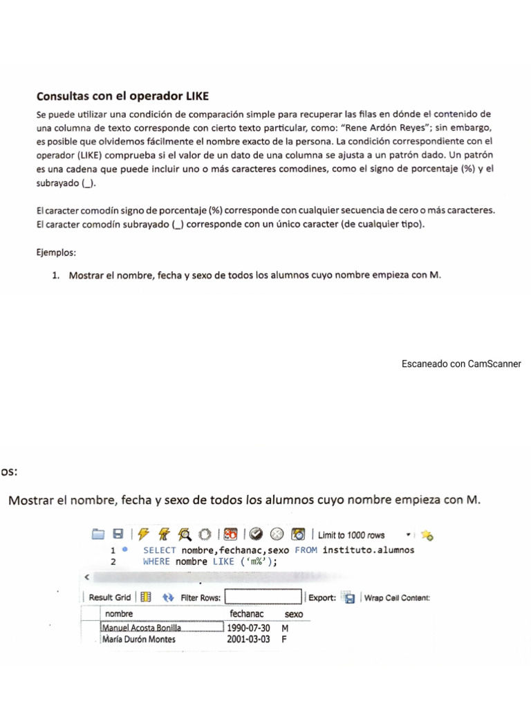 Programación III | PDF