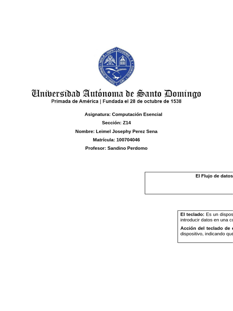 Actividad 23 Esquema Ilustrando El Flujo de Datos A Traves Del Hardware | PDF