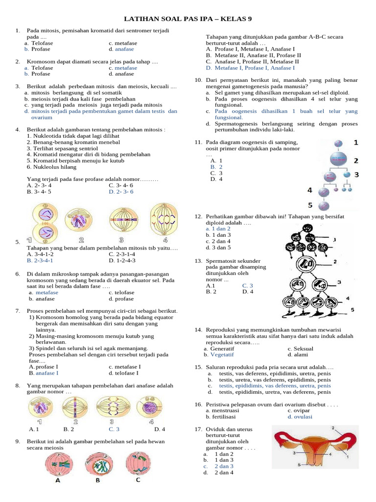 IPA UAS 1 (2018) Newww | PDF