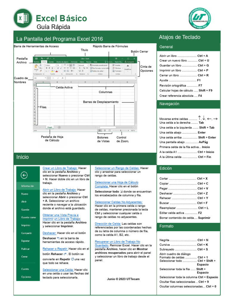 Guía Rápida Excel Básico | PDF