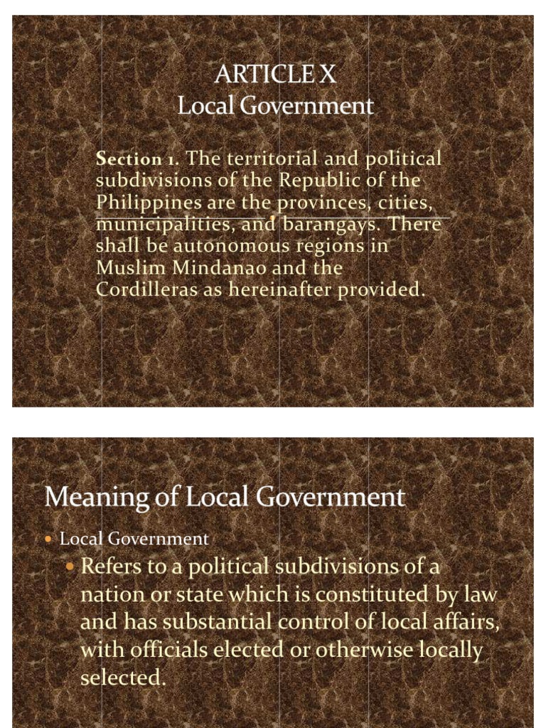 Article 10 of the 1987 Constitution | PDF | Local Government | Initiative