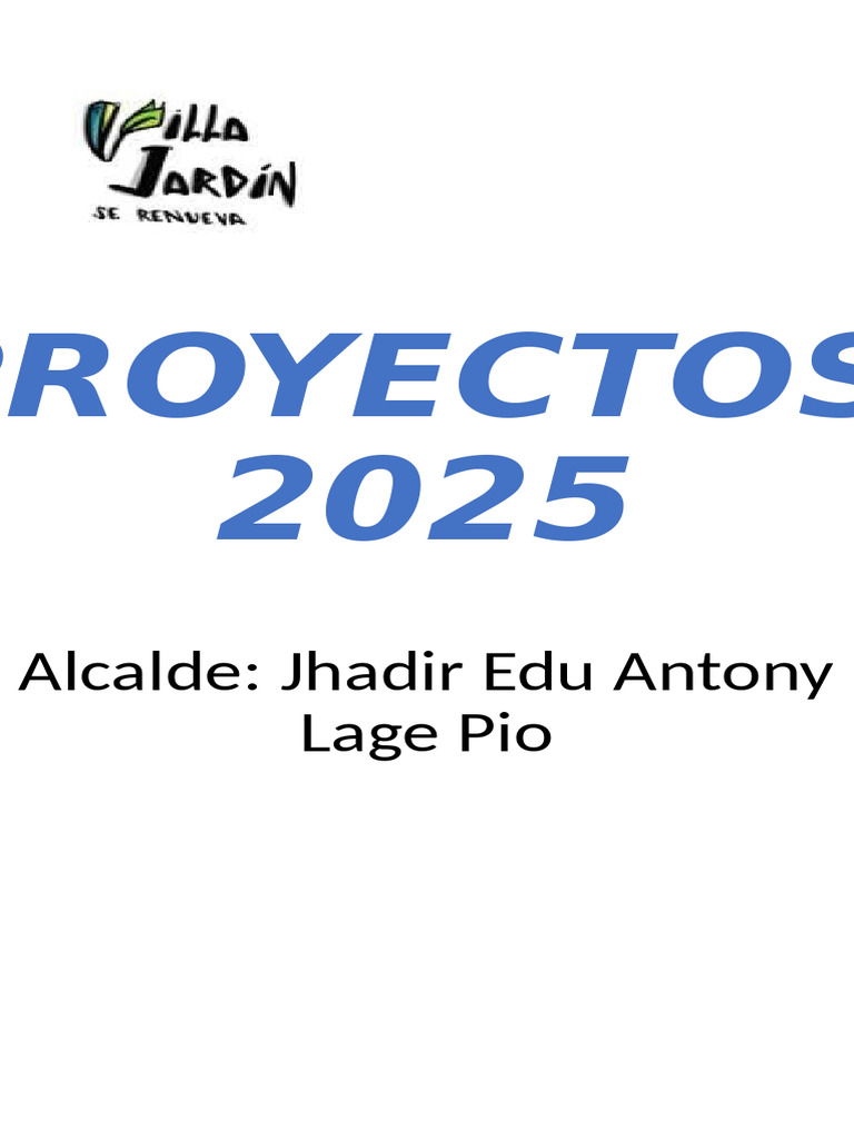 Proyectos 2025 | PDF