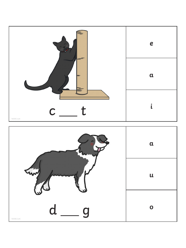 Roi L 880 CVC Words Missing Sound Peg Charts Activity | PDF