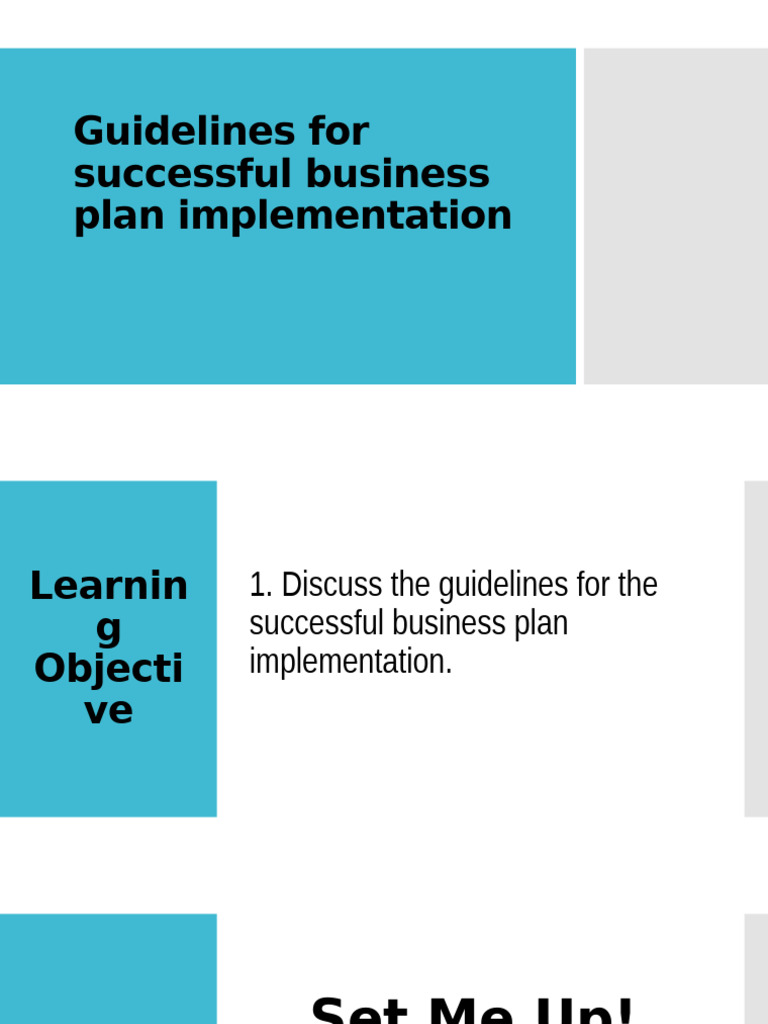 Business Plan Implementation | PDF