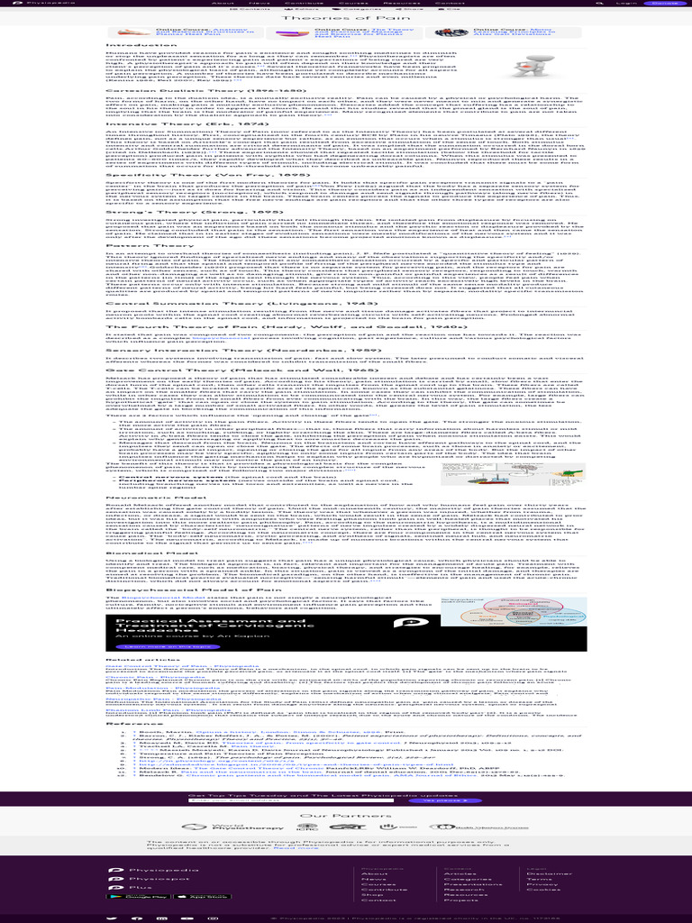 Theories of Pain Explained | PDF | Pain | Senses