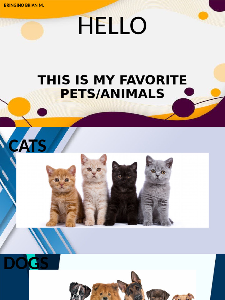 Css Activity 3 Power Point Presentation-My Favorite Pet | PDF