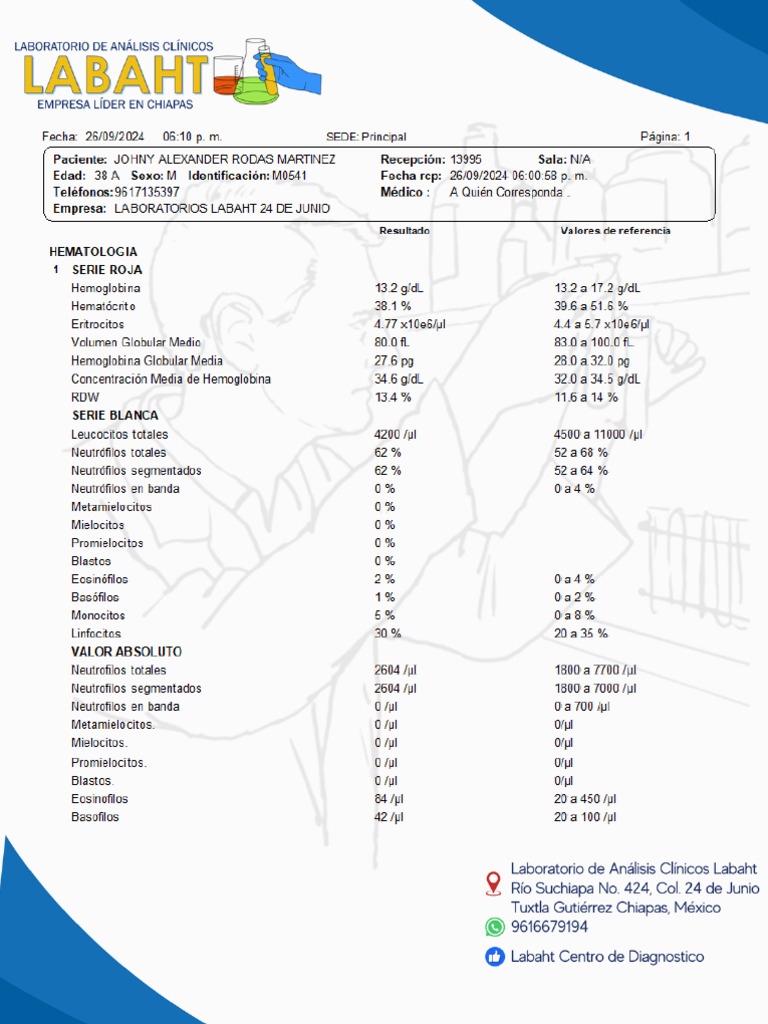 M0541 Johny Alexander Rodas Martínez | PDF