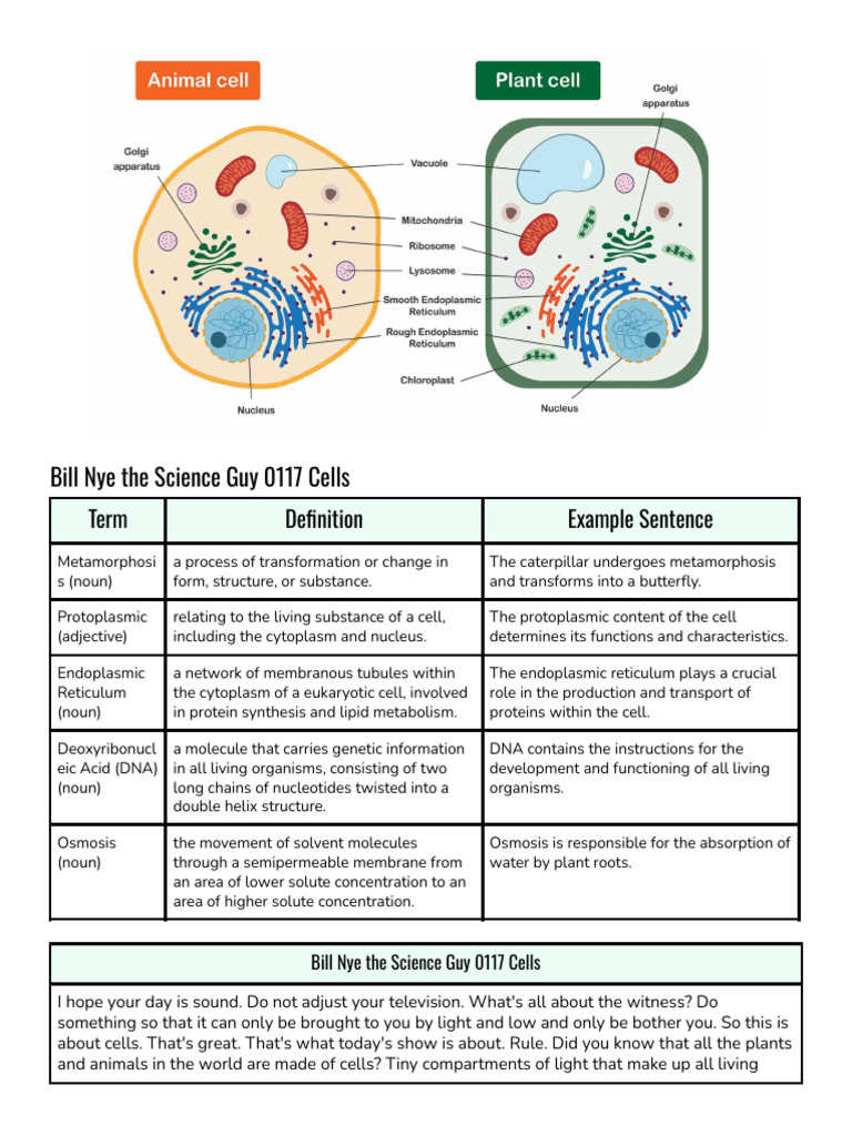 Bill Nye The Science Guy 0117 Cells - by Diffit (Printable) | PDF
