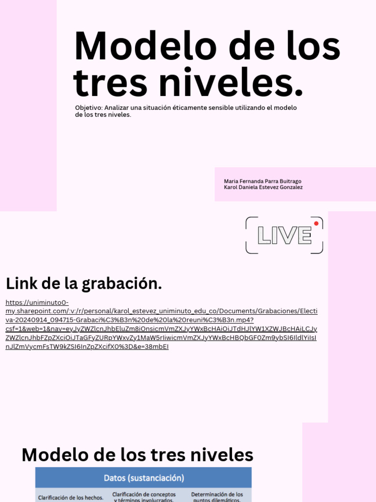 Modelo de Los 3 Niveles | PDF