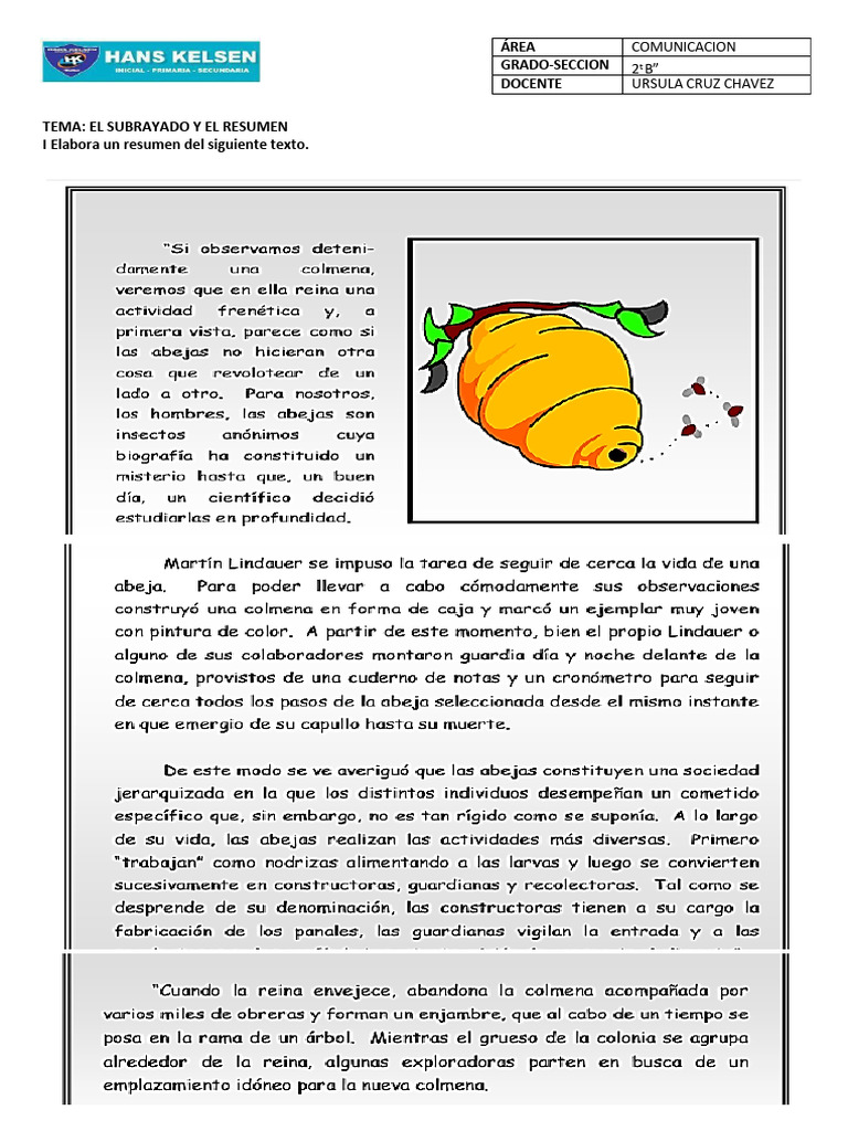 2 B Practica El Subrayado y Resumen 2024 | PDF