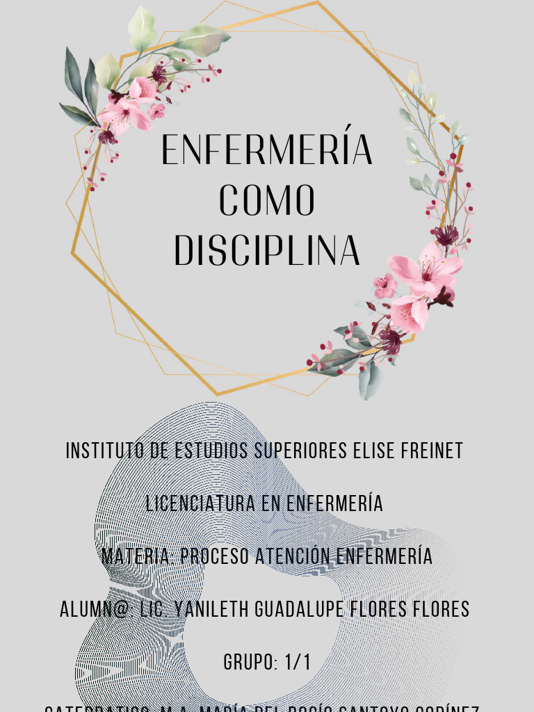 Pae - U1 - Act3 - Ygff | PDF | Enfermería | Paradigma